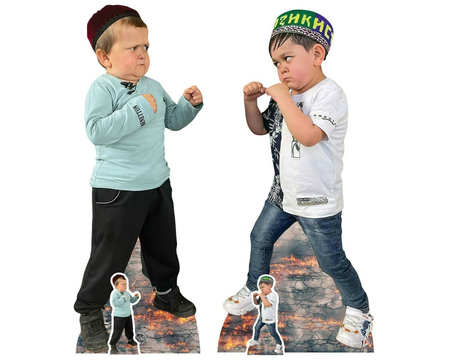 Hasbulla, The Internet Sensation, In Traffic Violation