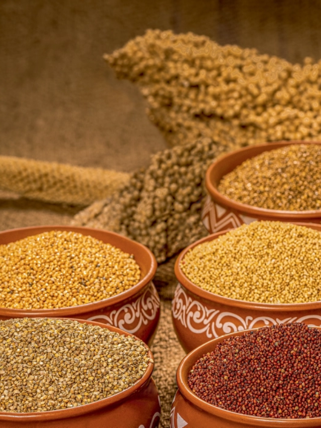 What You Need To Know About ITC’s Mission Millets - Social Nation